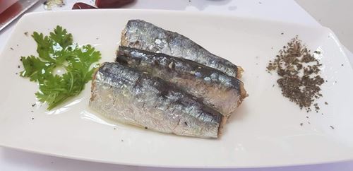 Moroccan Sardines factory,